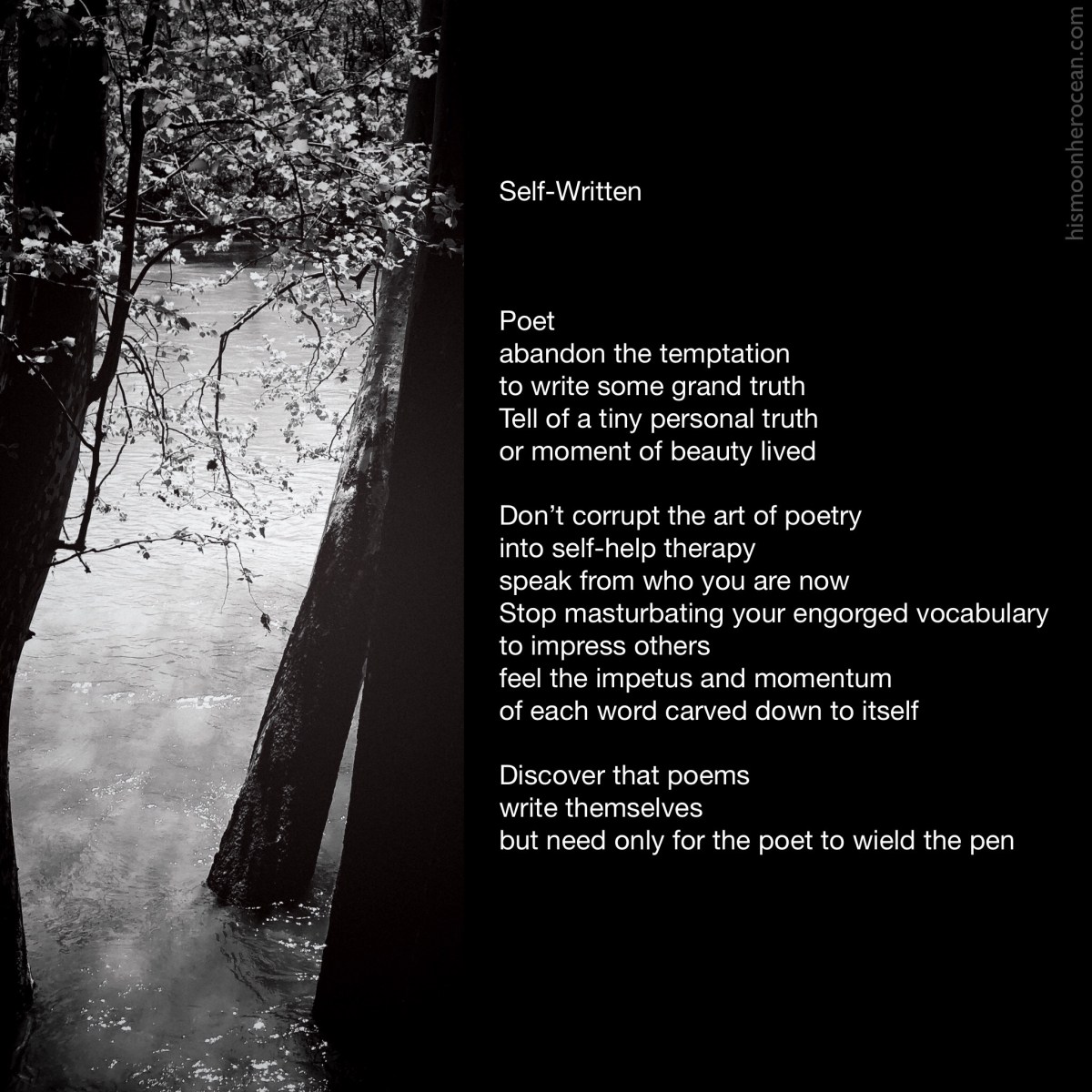 Self-Written – His Moon, Her Ocean